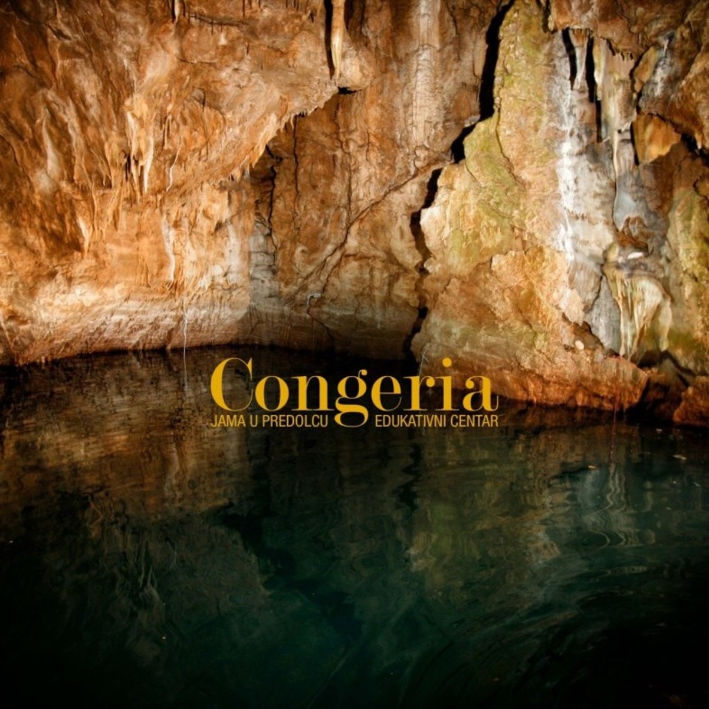 DISTINCTIVE SHELL - CONGERIA KUSCERI