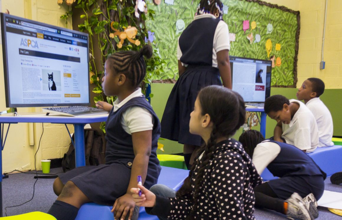 Self Organized Learning Environments