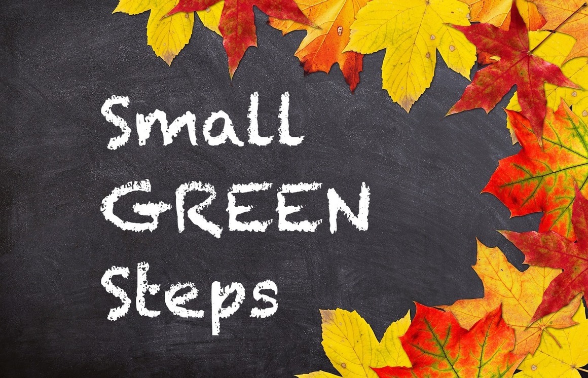 Small GREEN Steps