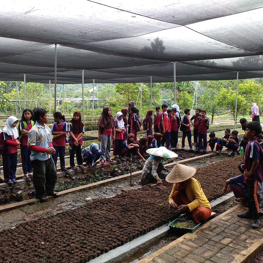 Carbon Farming Schools